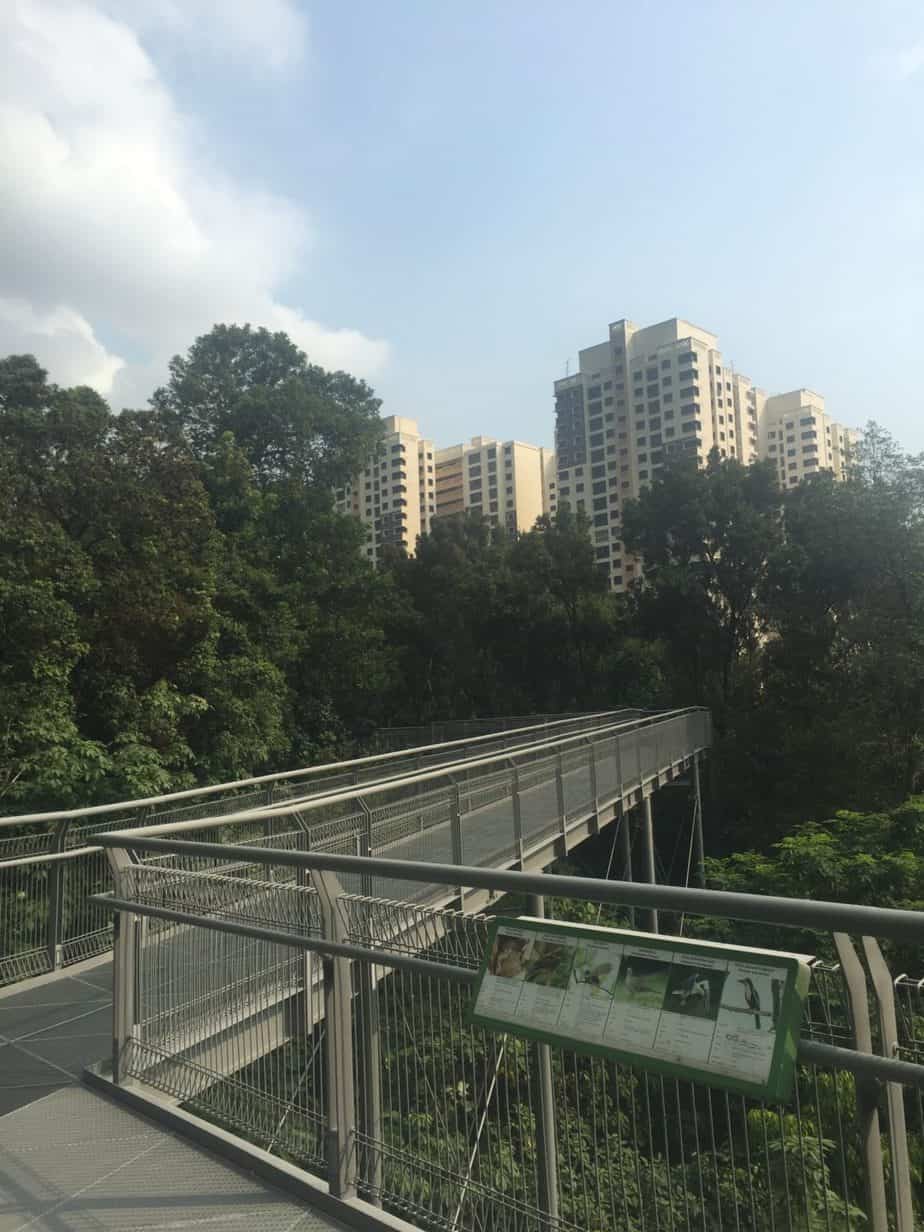 Explore Singapore: Southern Ridges