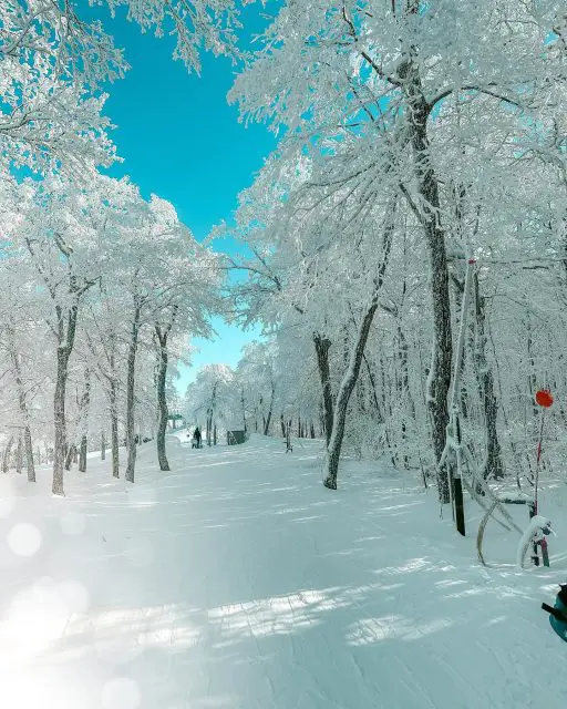 A Mini-Guide to Eating and Drinking in Beacon, New York